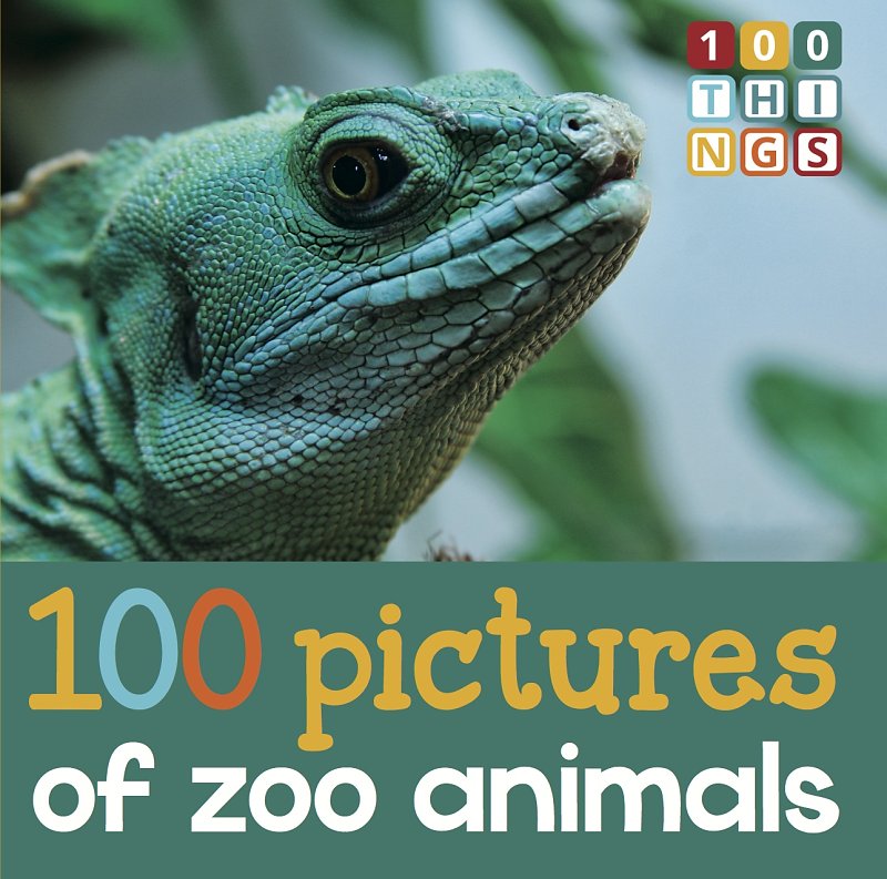100-zoo-animals-book-output-04-cover.jpg - Daniil Alexandrov – Portfolio